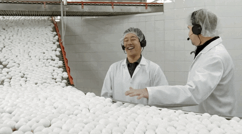 Poultry Chicken, Eggs and Meat Marketing, Branding and Advertising