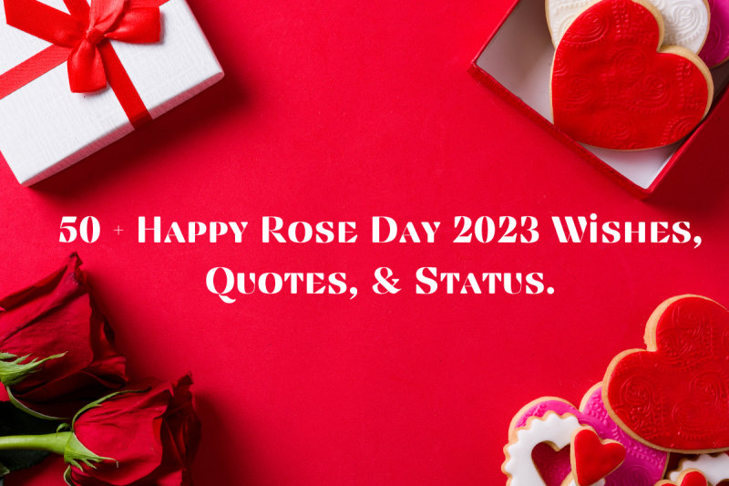 Happy Rose Day 2023 Wishes, Quotes & Status
